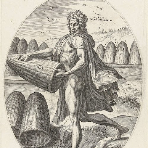 Aristaeus, Cornelis Cort, after Frans Floris (I), 1565 - Rijksmuseum