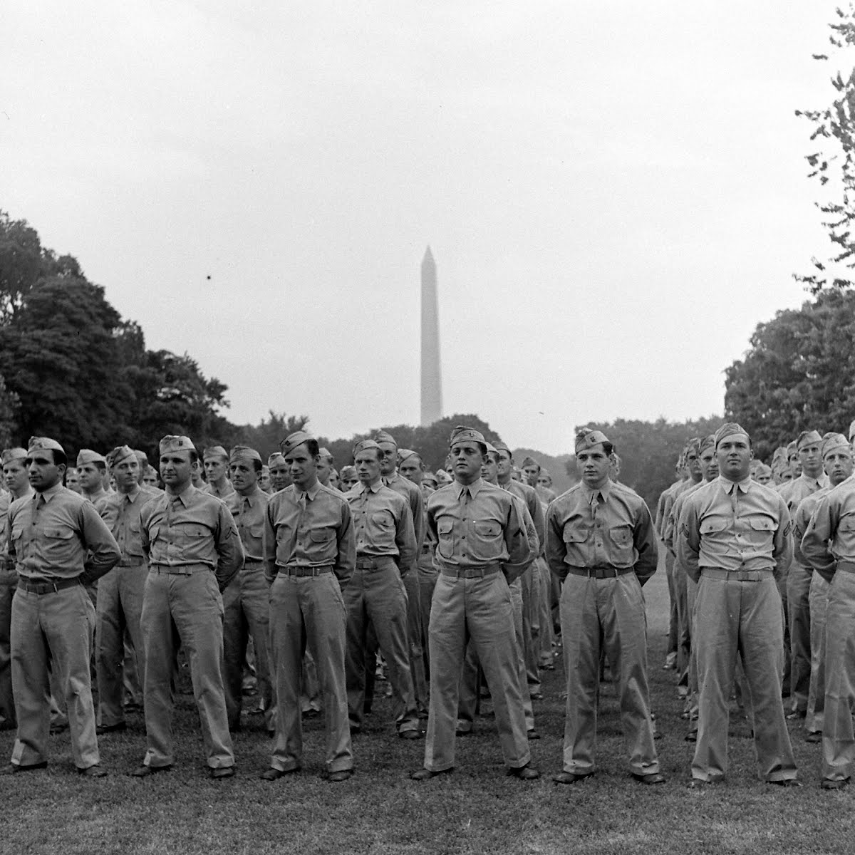 Veterans Day: Reflections on Service - The Interviews: An Oral History ...